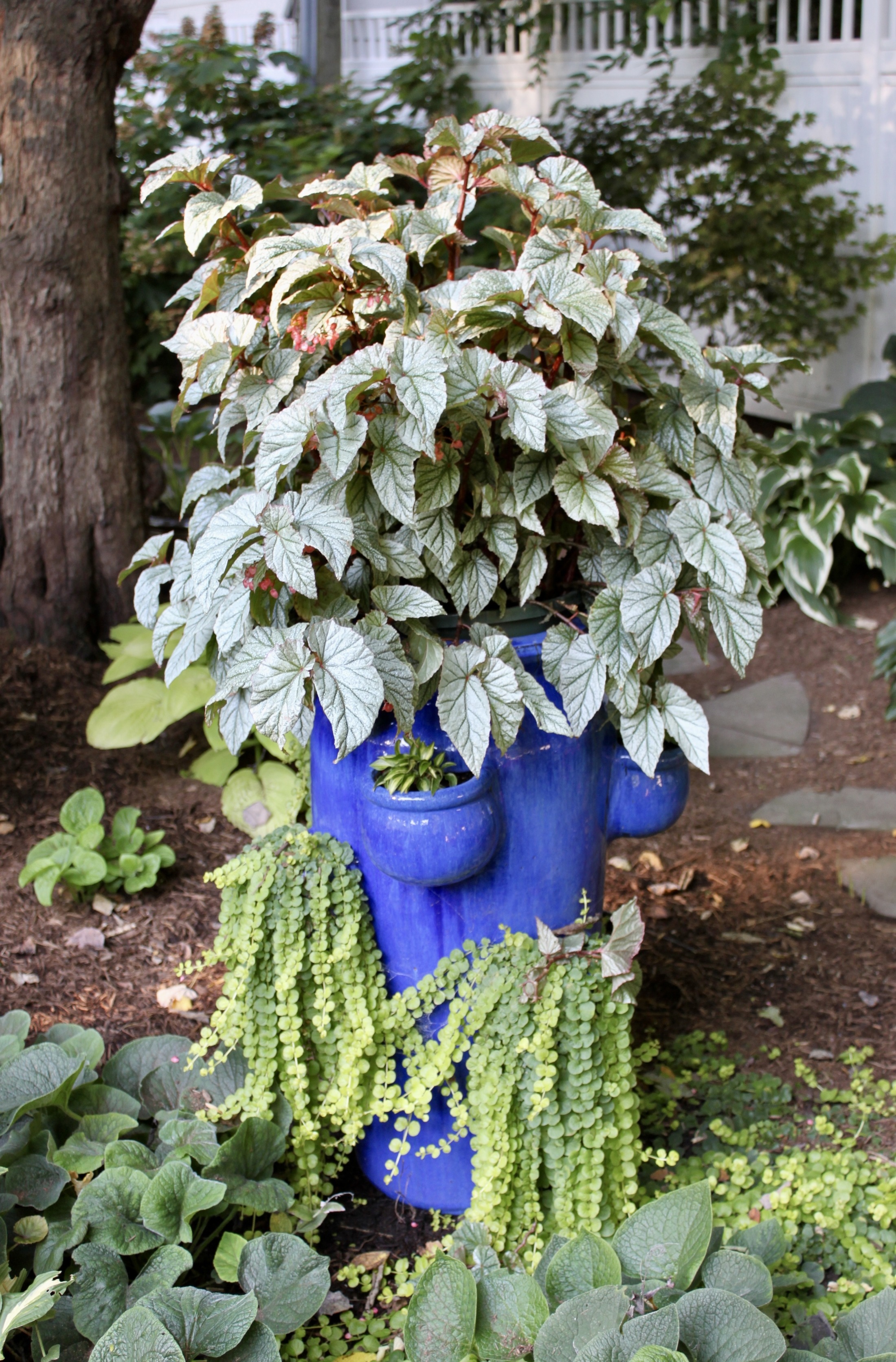 10 Tips to Container Gardening Success - Assante Hydrostone